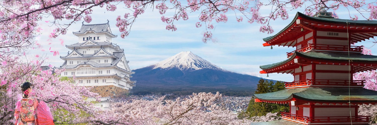 HA VAN TUANさんのレジュメ | RESUME