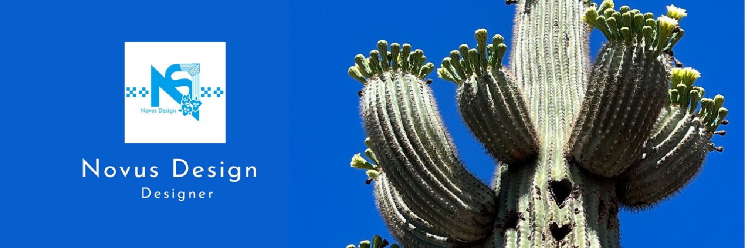 Novus Designさんのレジュメ | RESUME