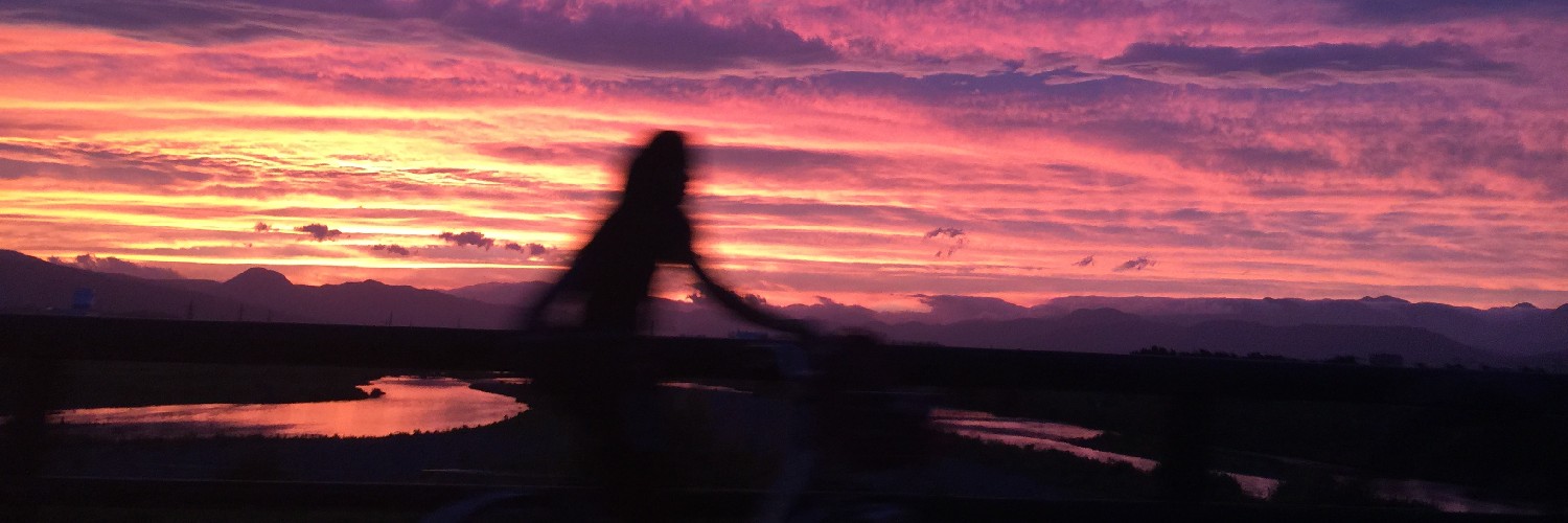 Tanimoto Eisukeさんのレジュメ | RESUME