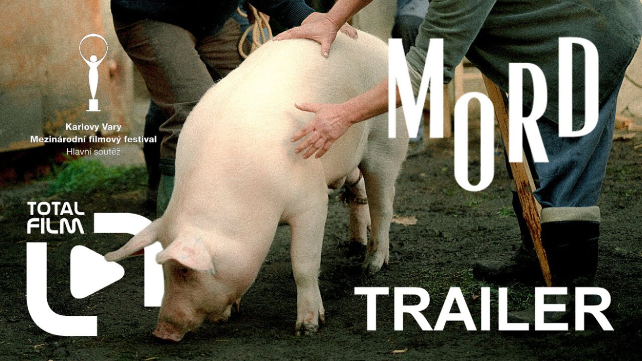 *!Mord (.2024.) Celý Film Online {CZ-SK} dabing | Ayam