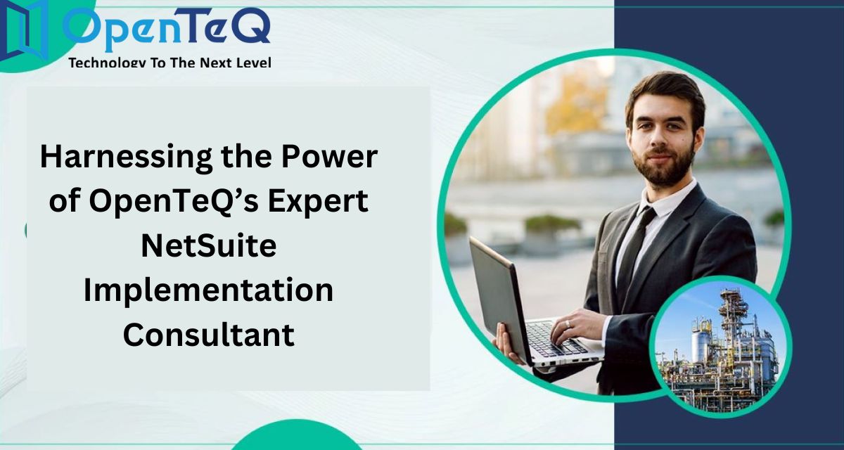 OpenTeQ Expert NetSuite Implementation Consultant | OpenTeQ Technologies