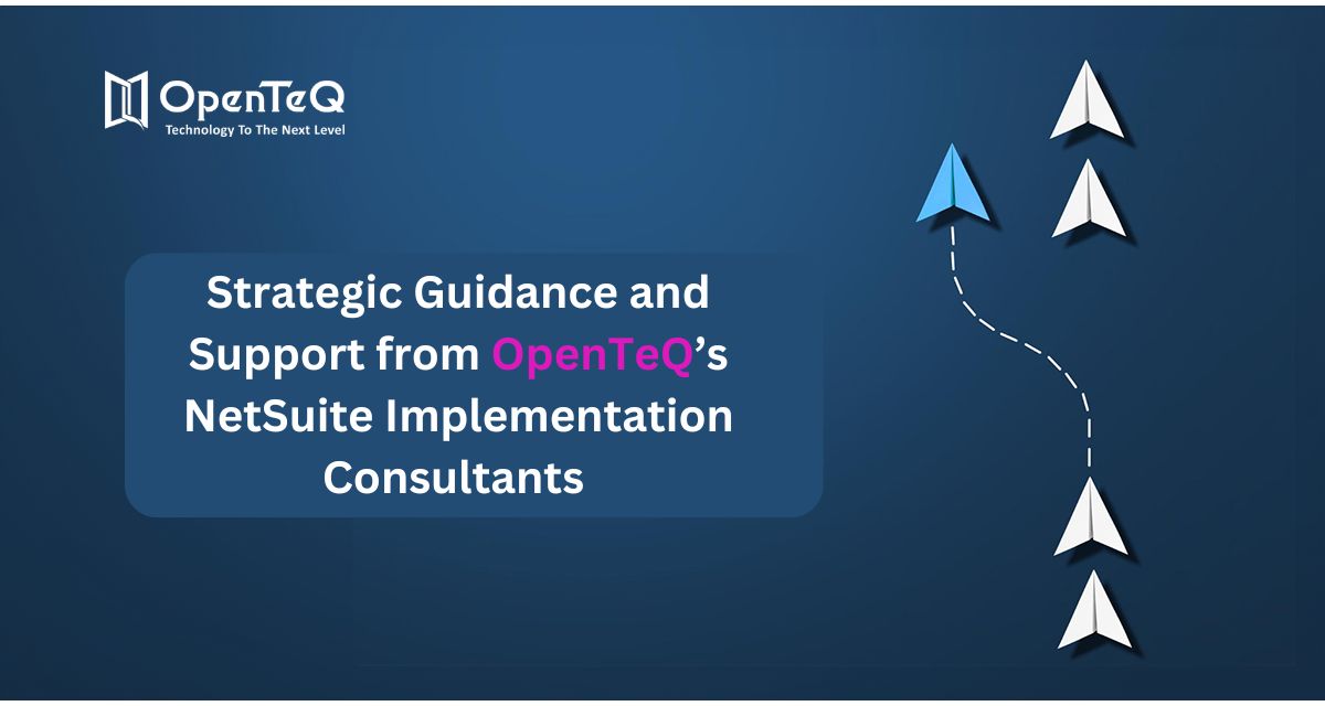 OpenTeQ Expert NetSuite Implementation Consultant | OpenTeQ Technologies